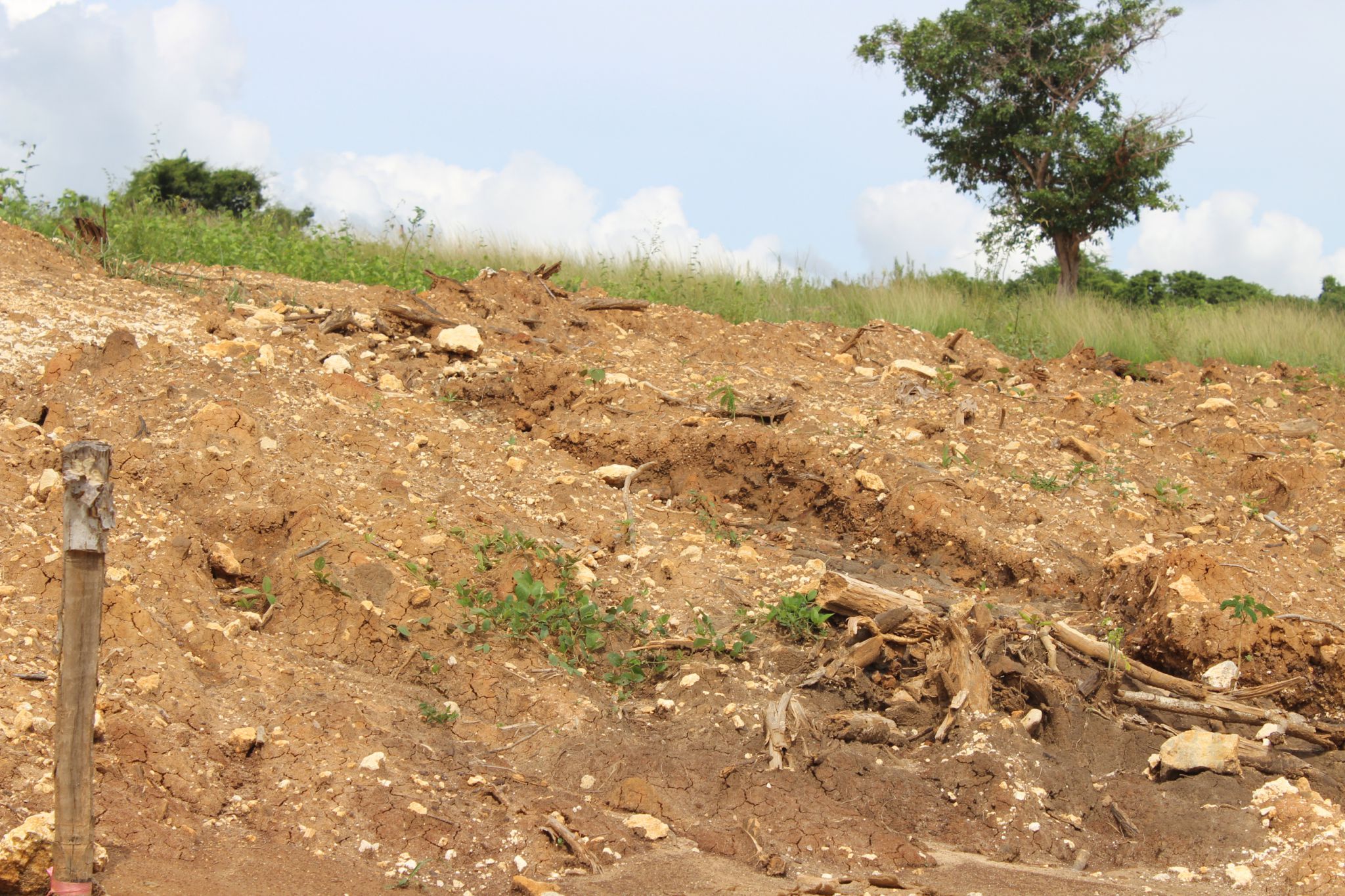 Luana 4 Phase 2 – Housing Agency of Jamaica Limited